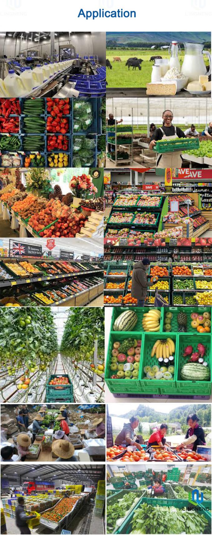 38L Food Grade Plastic Vegetable Stackable Collapsible Crates Customized